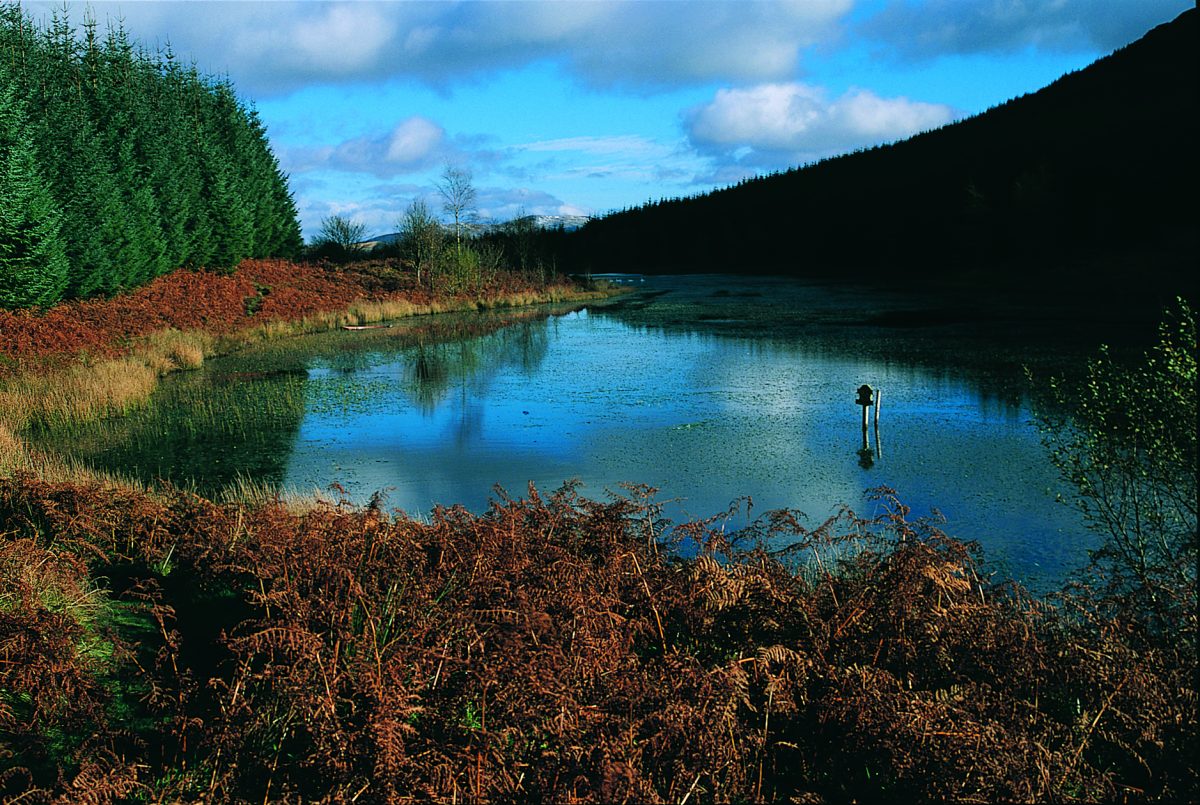 2 Aberfoyle to Callander – Rob Roy Way Official Site