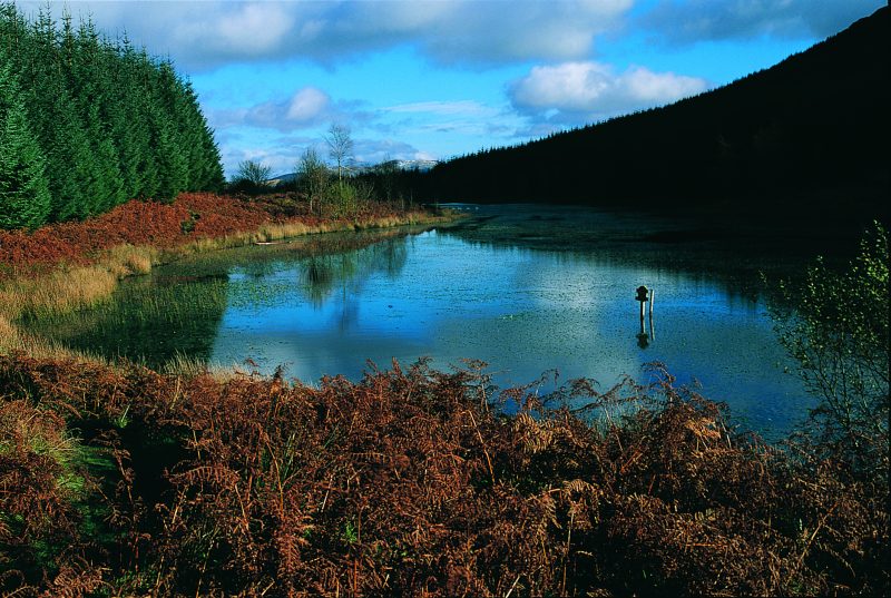 2 Aberfoyle to Callander – Rob Roy Way Official Site